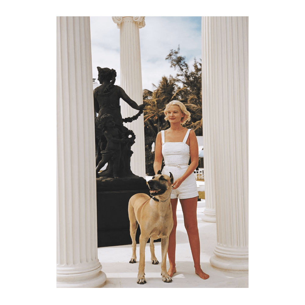 CZ Guest With Her Great Dane