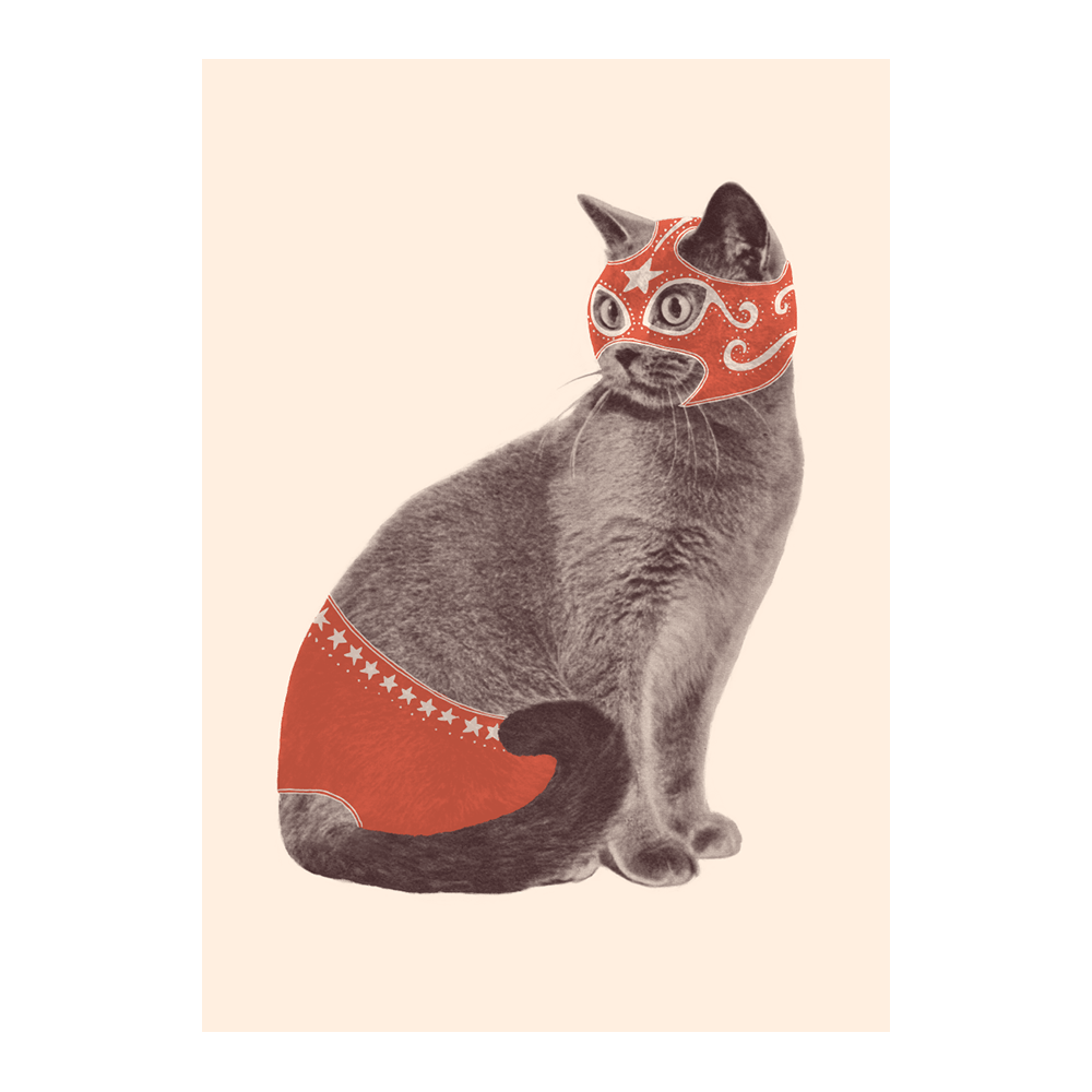 Cat Wrestler