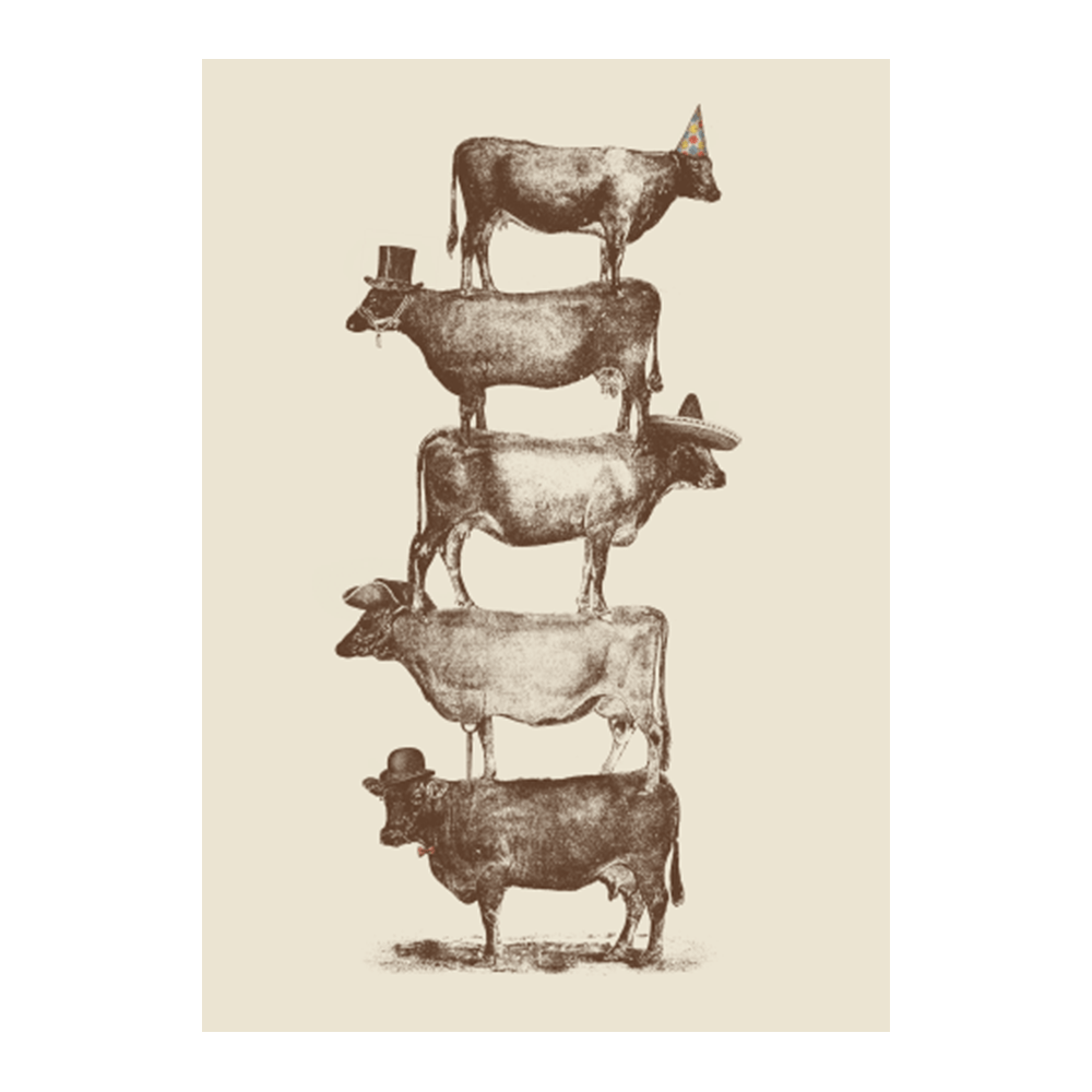 Cow Cow Nut II