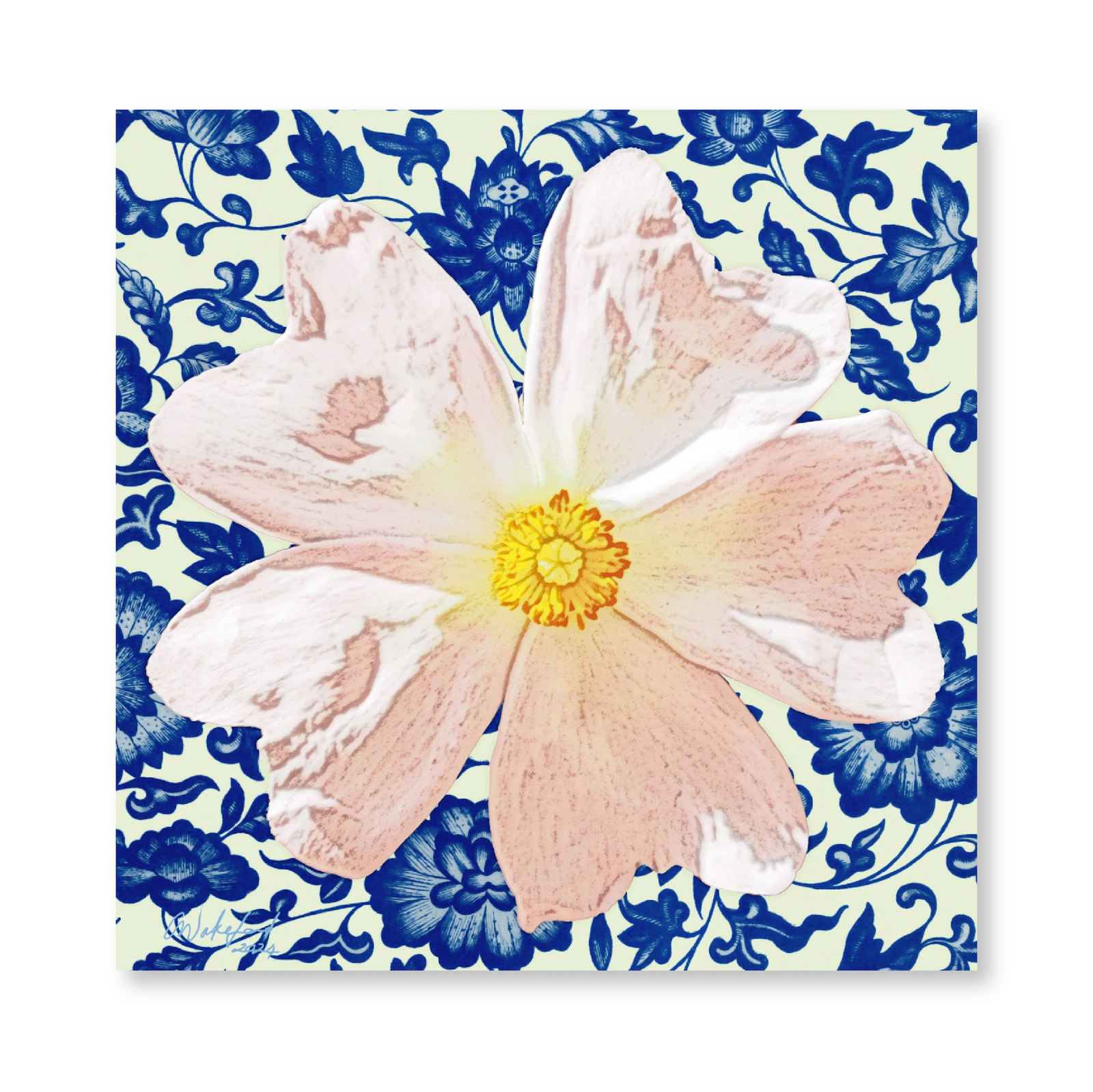 Flower Study II