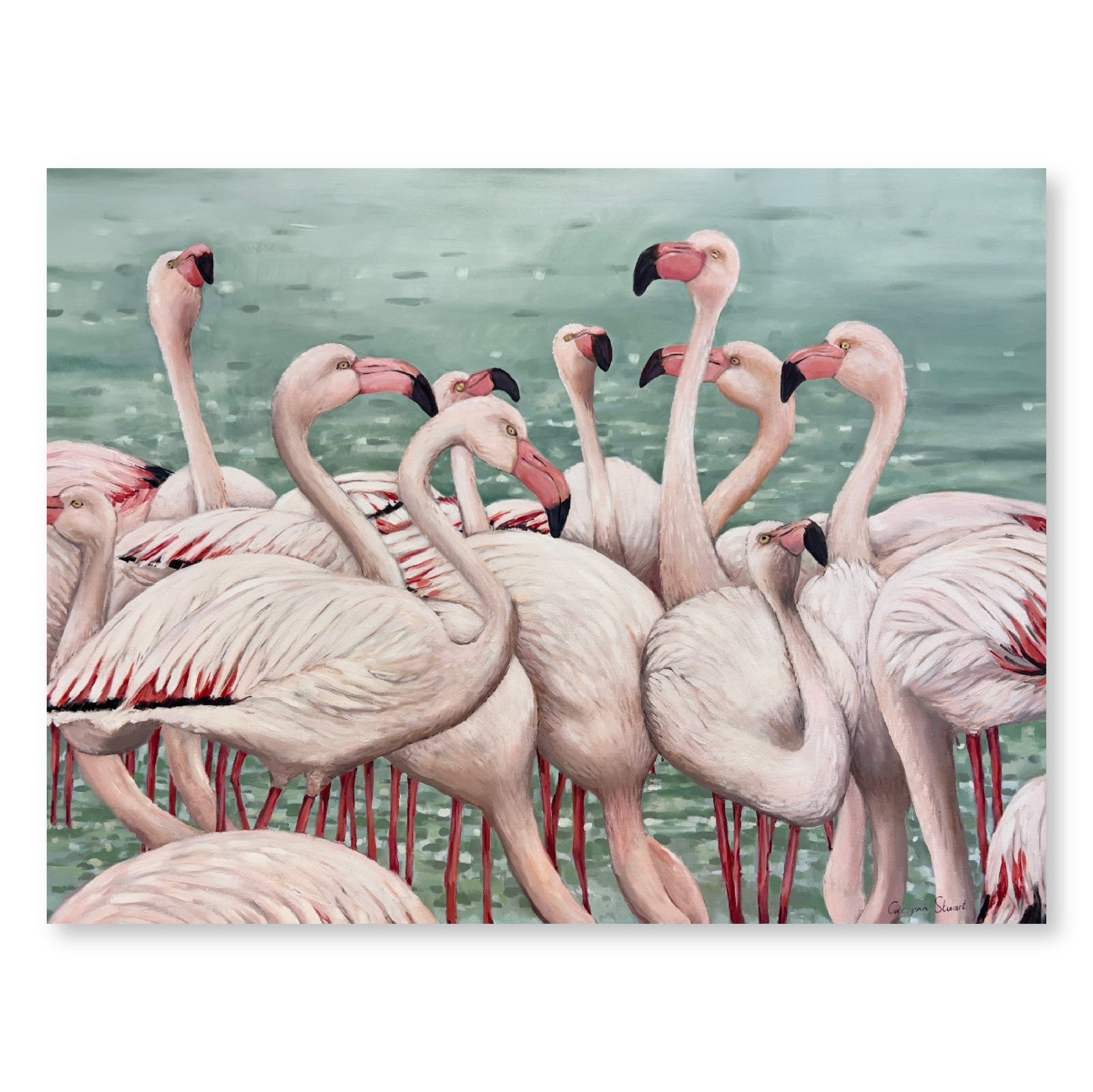 Flamingos | Original