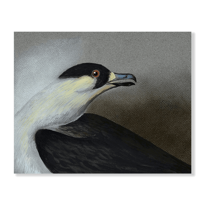 Richardson Jaeger Painting