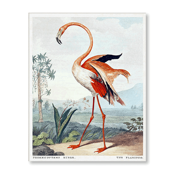 Romantic Flamingo – Jasper & Jute