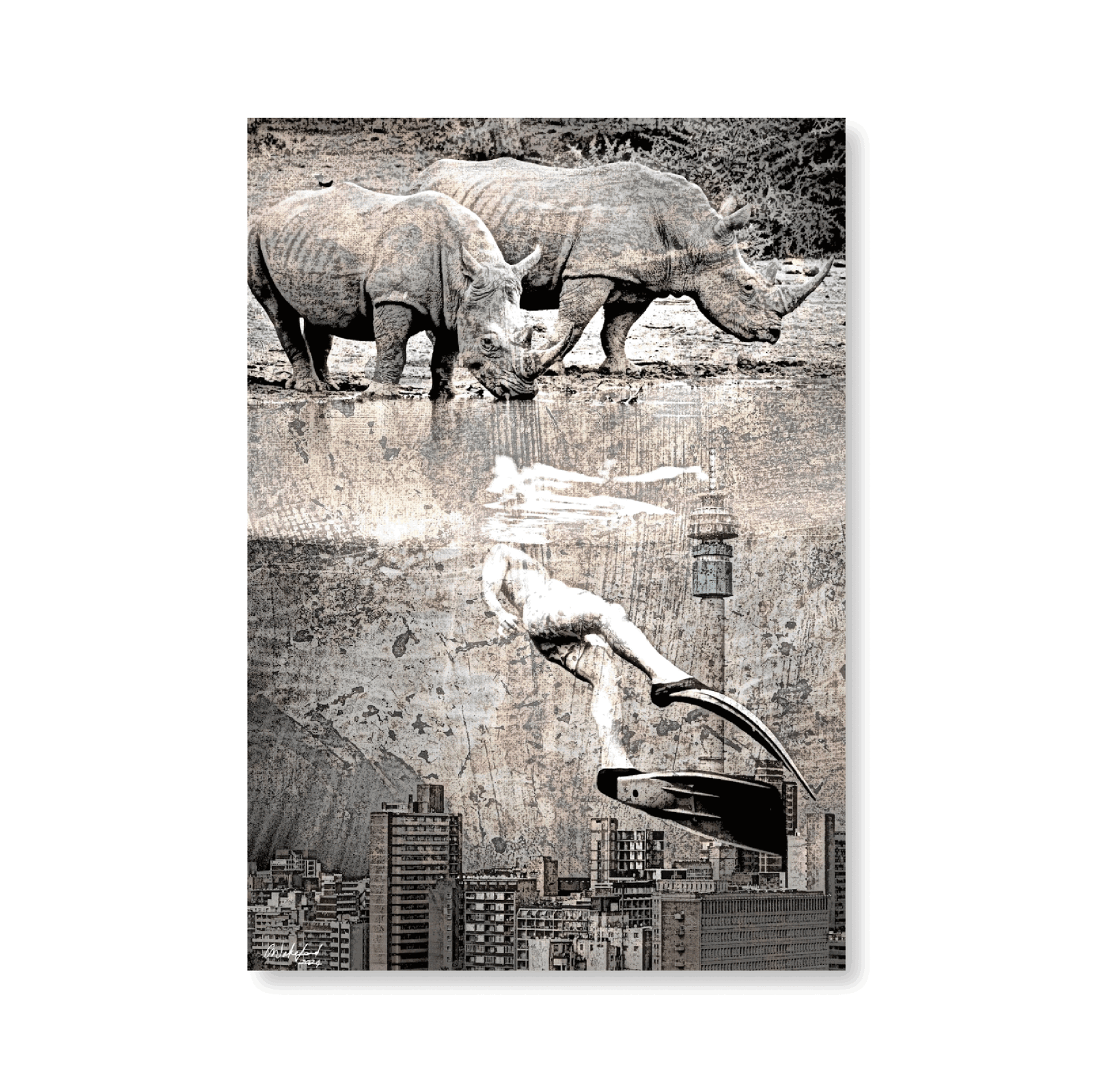 Surface Exploration Triumph Of The Wild