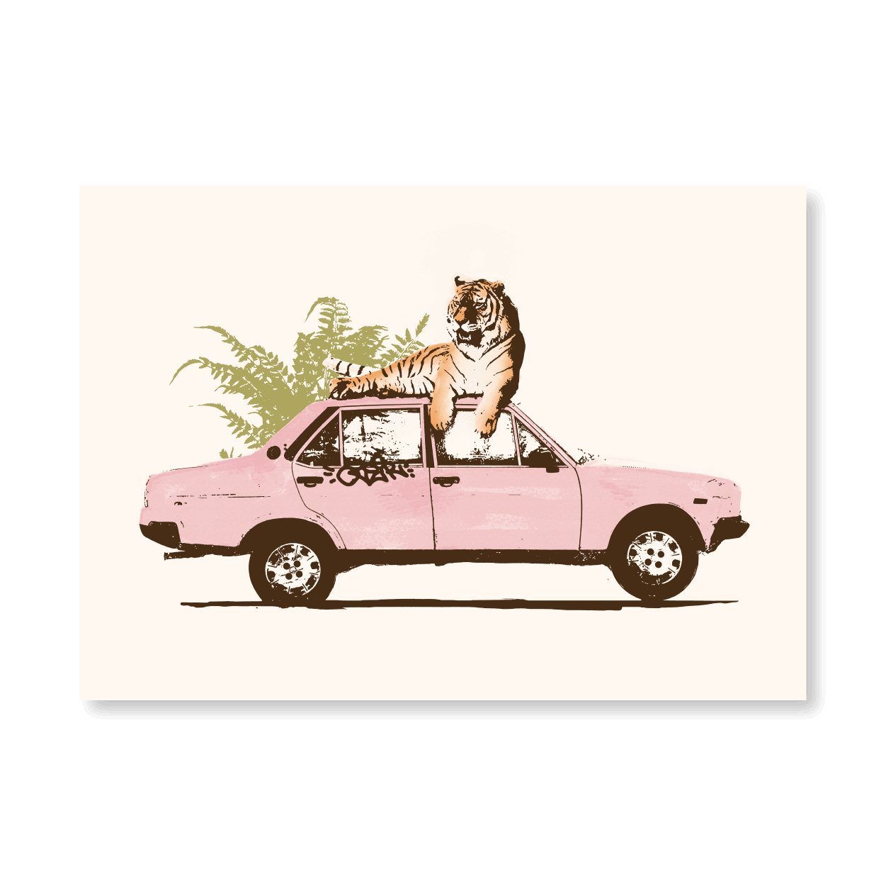 Tiger on Car