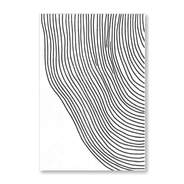 Tree Bark Line Drawing Set II