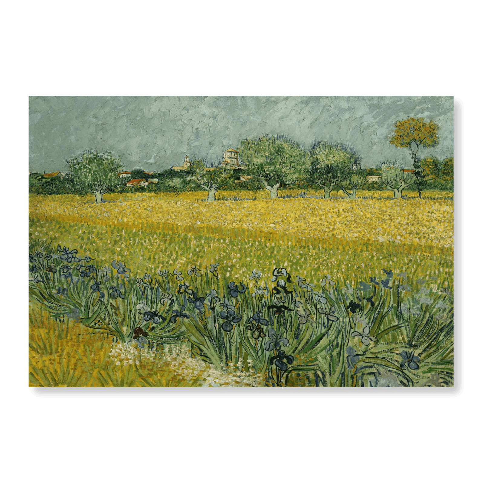 Van Gogh: "Field with flowers near Arles (1888)"